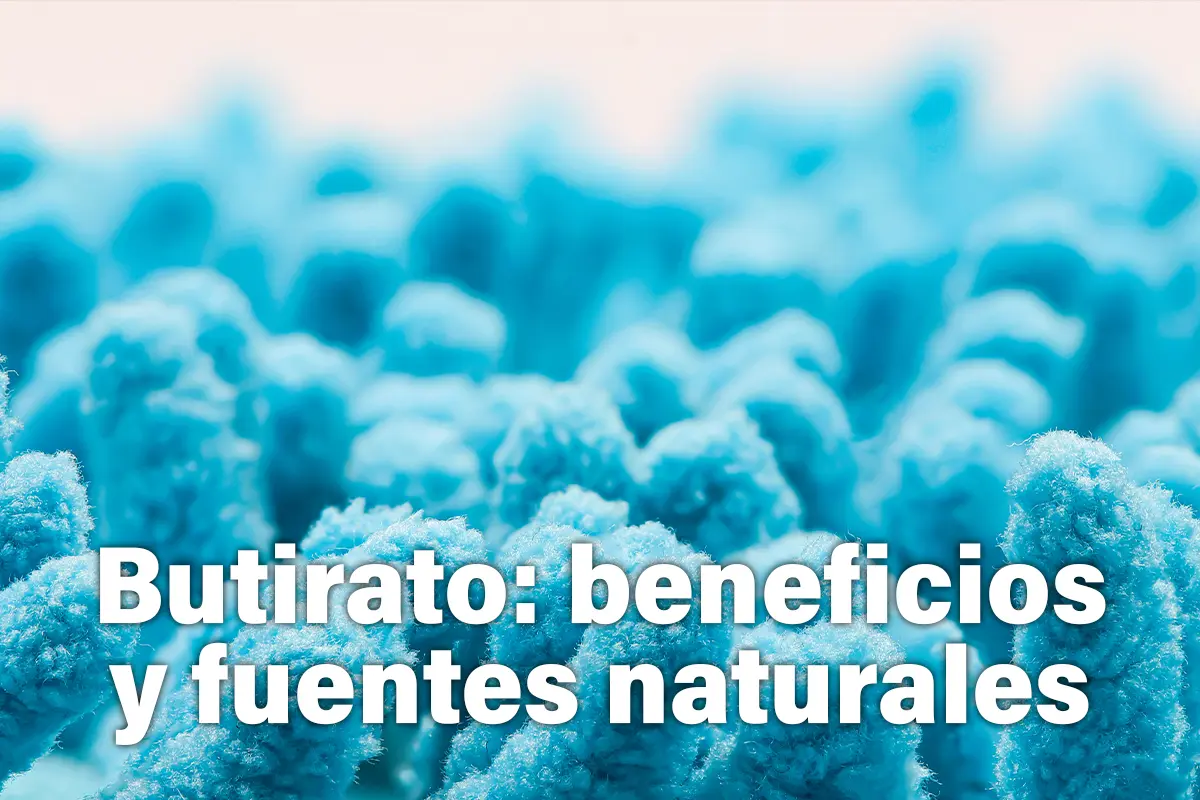 ¿Qué es el Butirato? Propiedades, Beneficios y Fuentes 🍏